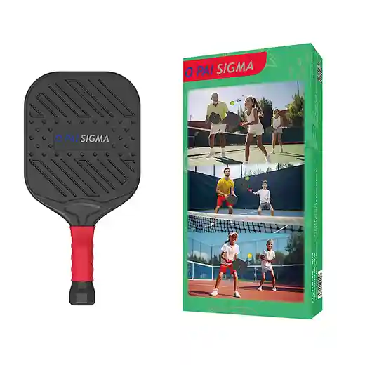 custom pickleball paddle , carbon pickleball paddle , pickleball paddle ...